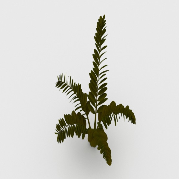 TROPICAL FERN 3D MODEL - FREE DOWNLOAD | FREE POLYGON